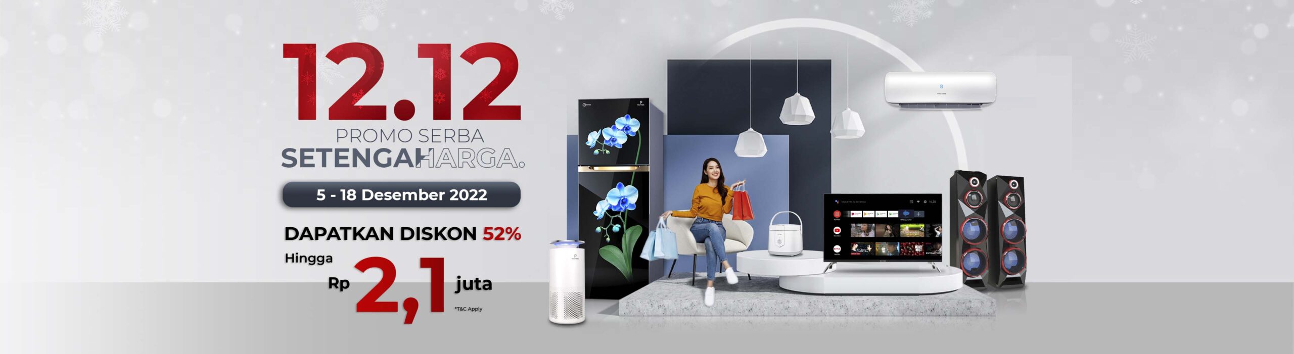 Professional Audio Amplifier - Polytron